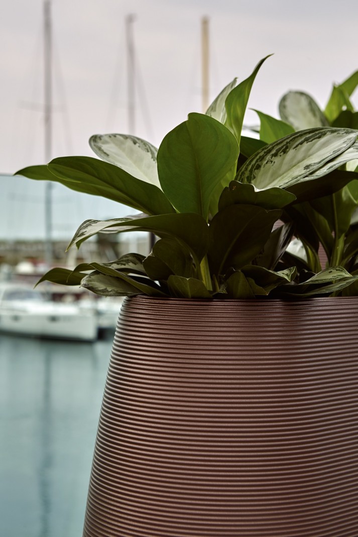 MyYour Pandora Pot at Italy365